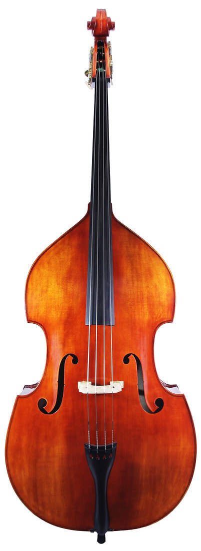 KRUTZ 300 Bass – Teton Music | Pianos, Strings, Sheet Music